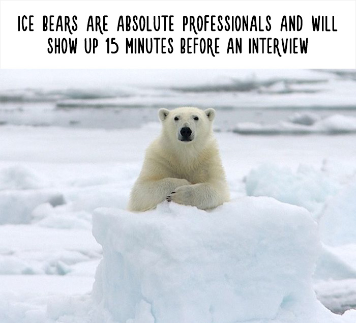 20 Amazing Animal Facts You Didn t Know Bored Panda 20 Amazing Animal Facts You Didn t Know Bored Panda