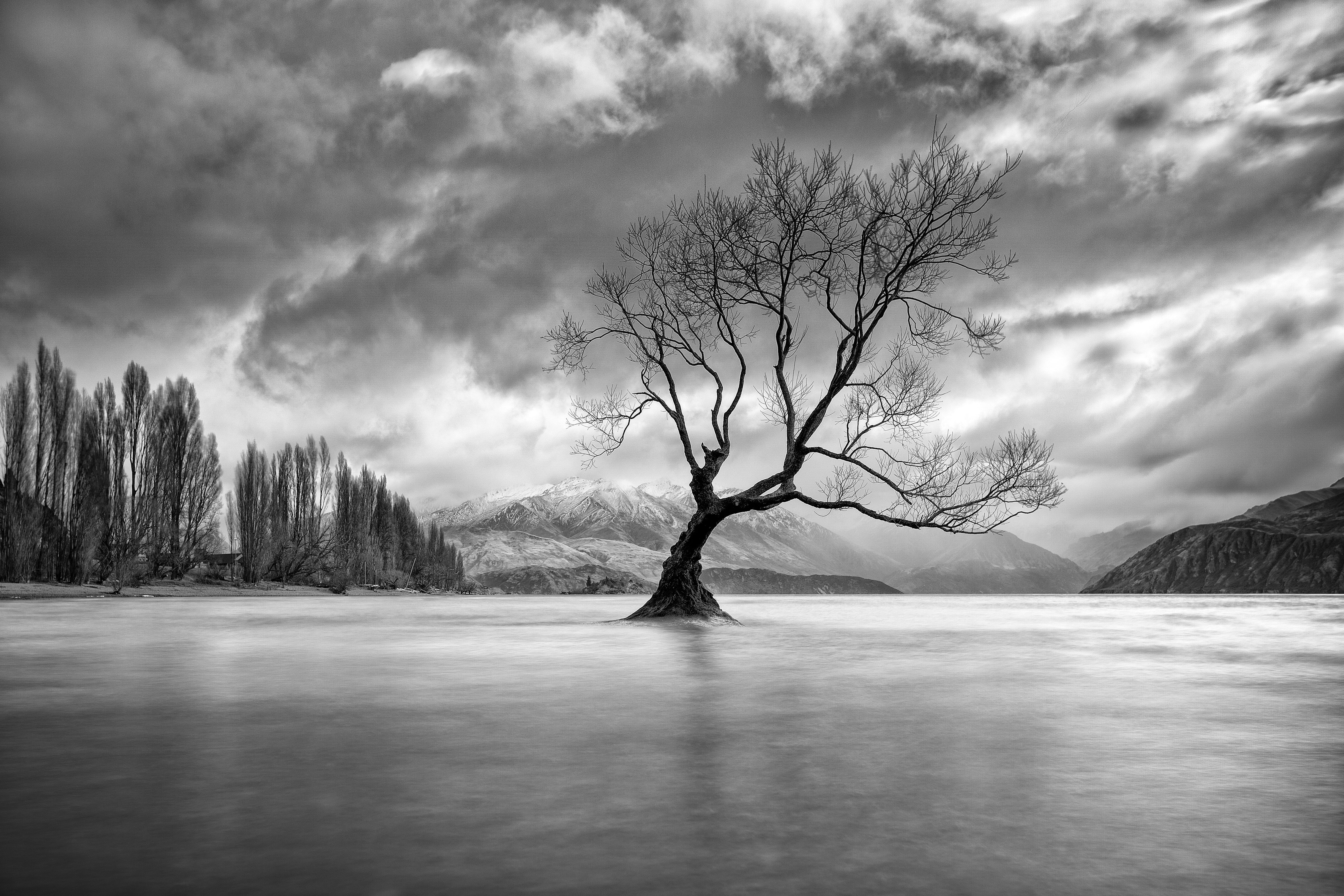 Black And White Nature Art Prints At Kristie Cummings Blog Black And White Nature Art Prints At Kristie Cummings Blog