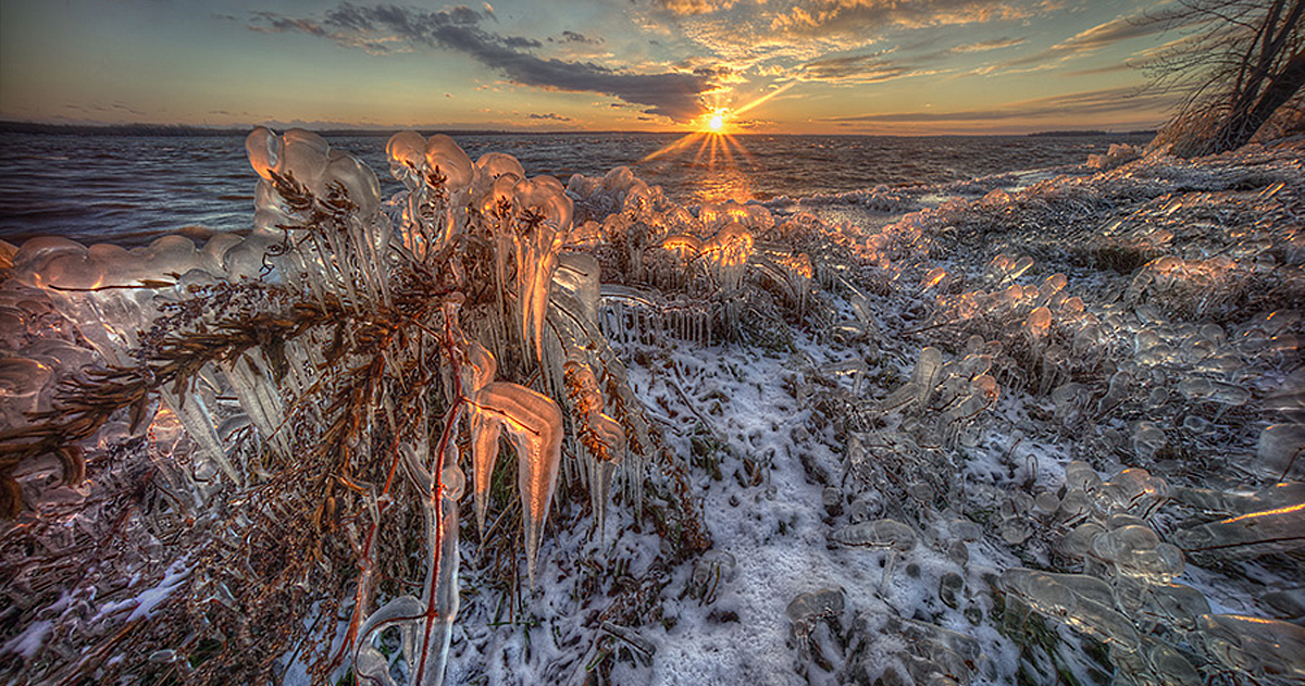 Otherworldly Photos Of A Fall Day In Montreal | Bored Panda