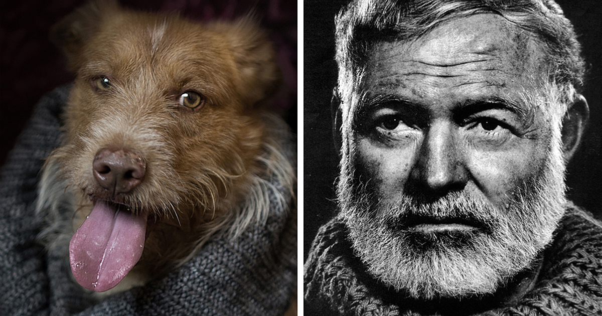 Poetic Dogs: Photo Project Compares Shelter Dogs And Famous Writers ...