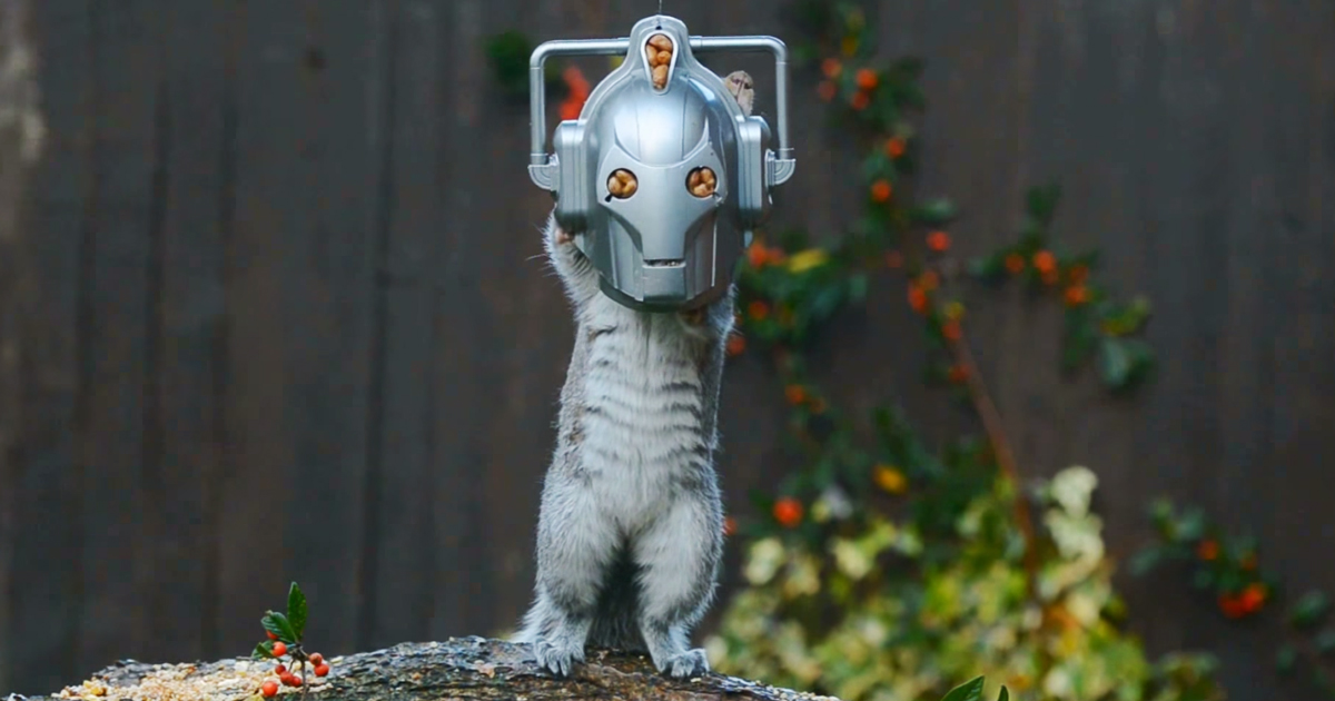 CyberSquirrel: Feeder Turns Squirrel Into Doctor Who’s Deadly Enemy ...