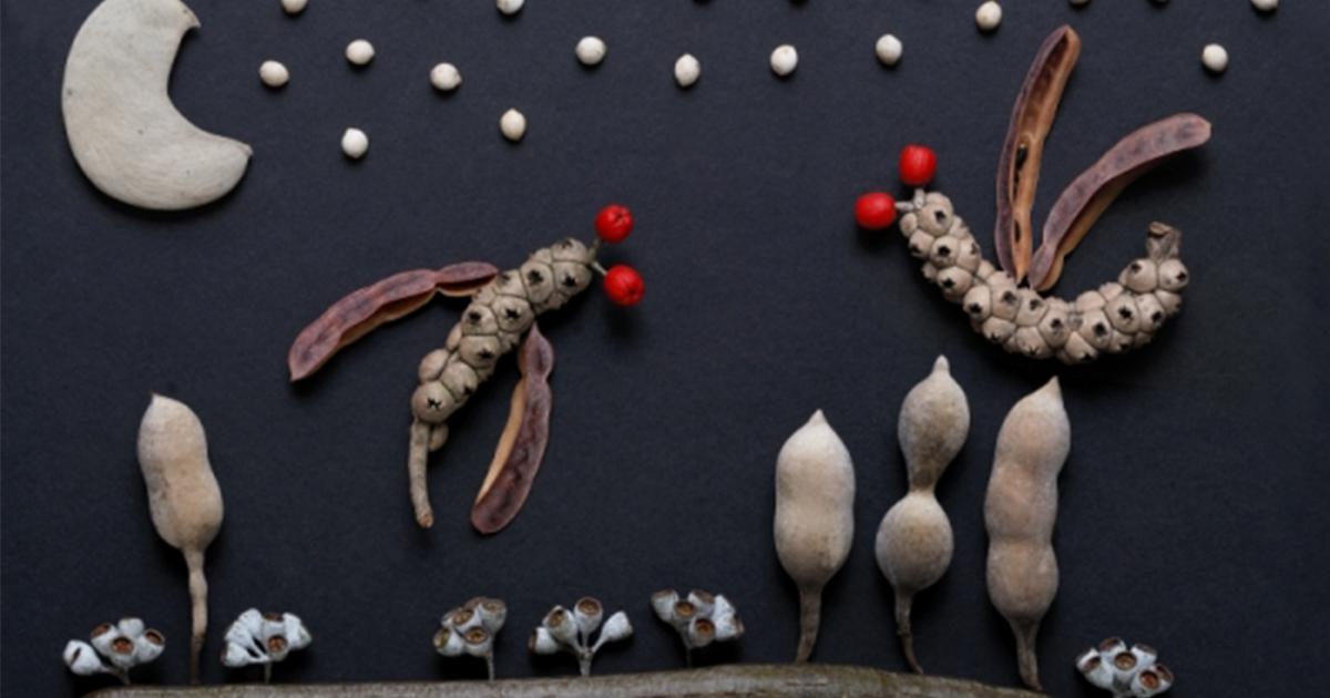 I Use Seeds to Create Faces, Insects, Flags And Abstract Pictures ...