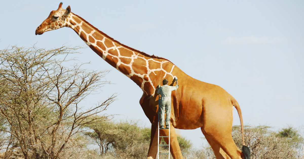 Playful Photo Manipulations By Indian Artist Anil Saxema | Bored Panda