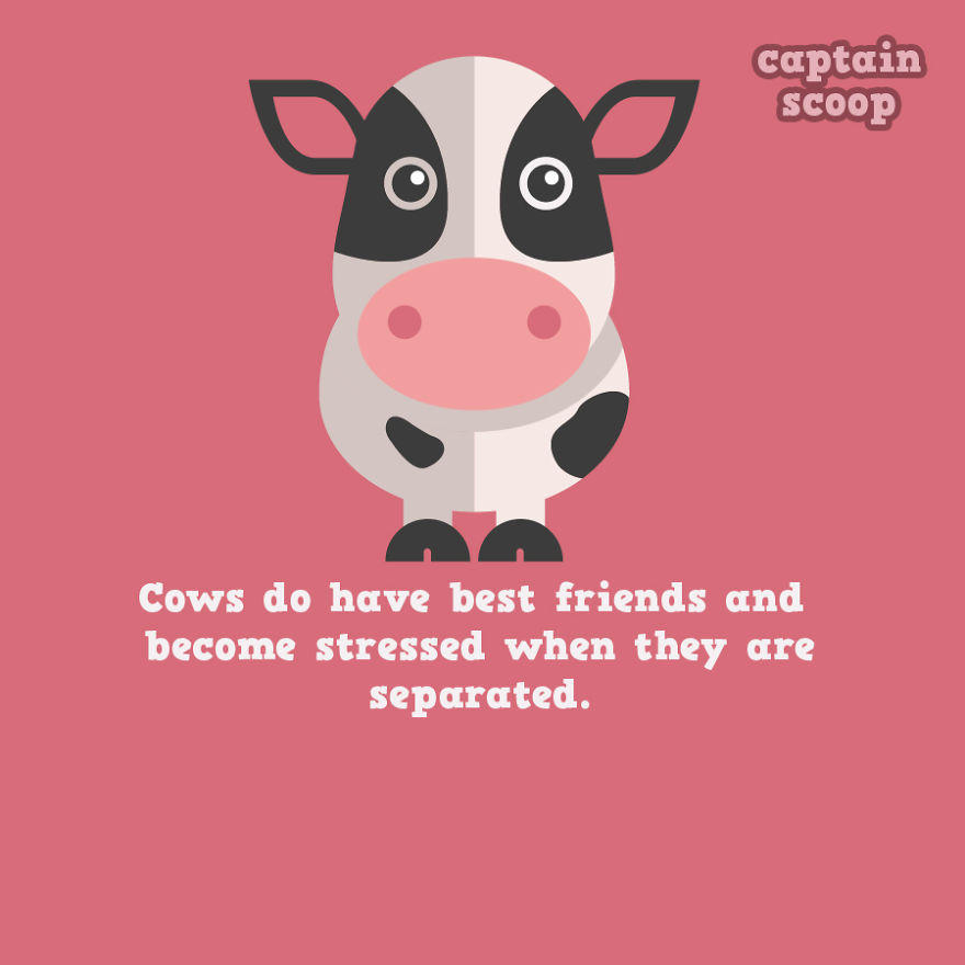 51 Amazing Animal Facts To Share With Kids Atelier yuwa ciao jp 51 Amazing Animal Facts To Share With Kids Atelier yuwa ciao jp