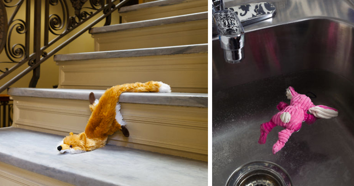 A Darkly Humorous Look At Crime Scene Photography | Bored Panda