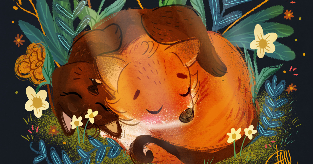 The Adventures Of Mr. Fox & Kitty Cat | Bored Panda