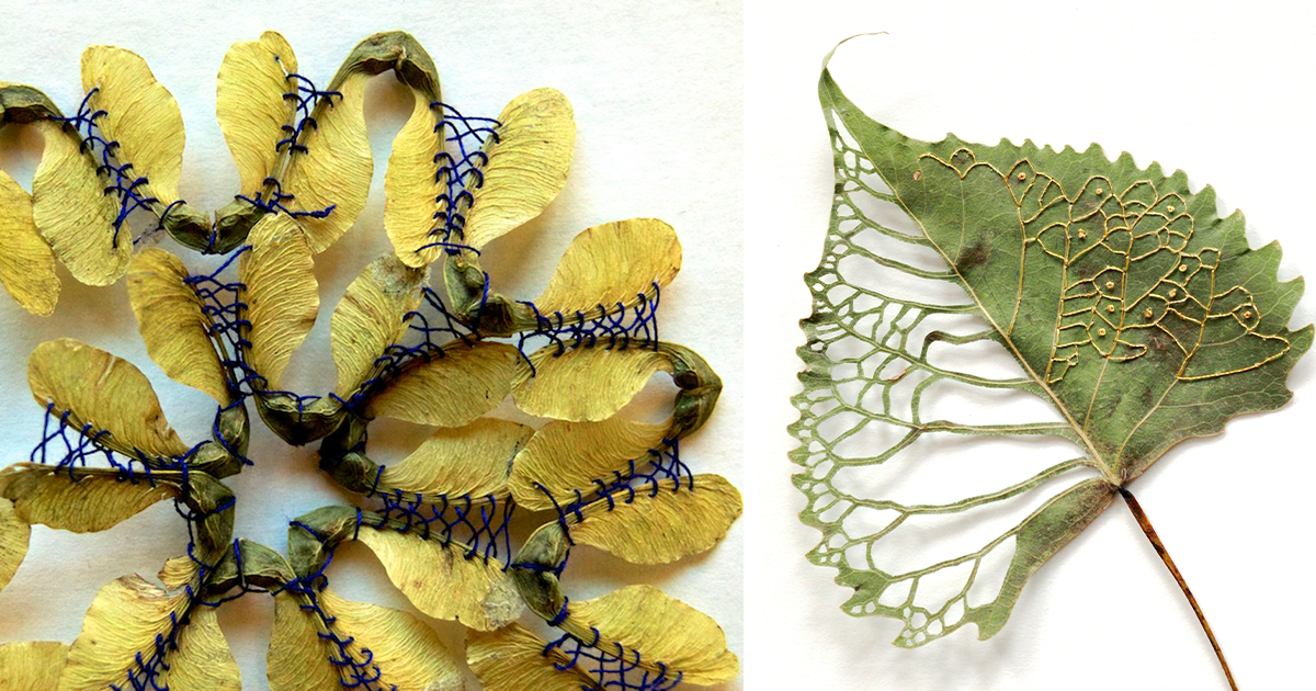 I Transform Leaves Into Art With Embroidery | Bored Panda
