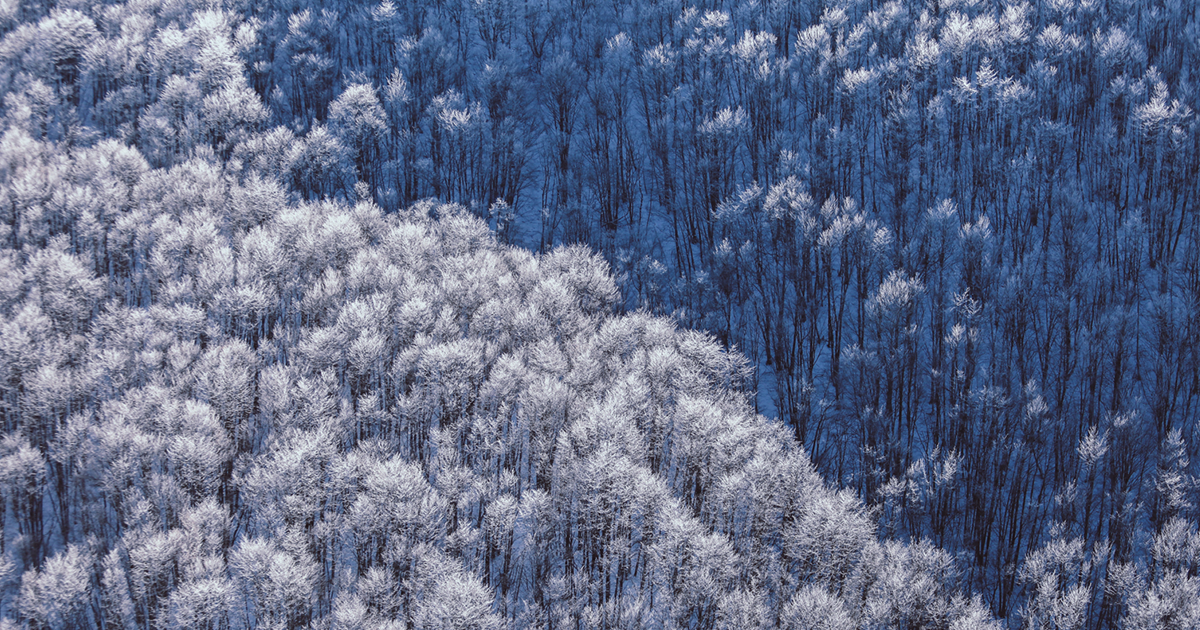 I Captured Amazing Nature Of Georgia From A Helicopter | Bored Panda