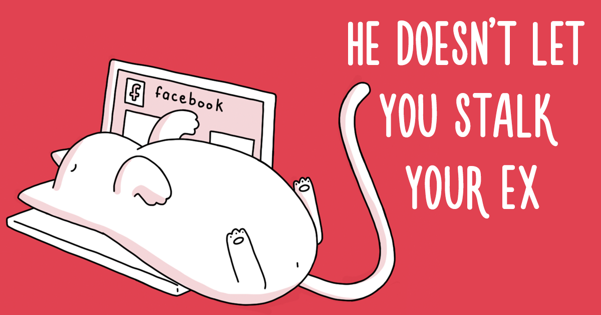 10 Benefits Of Having A Cat In Case Of A Break Up | Bored Panda