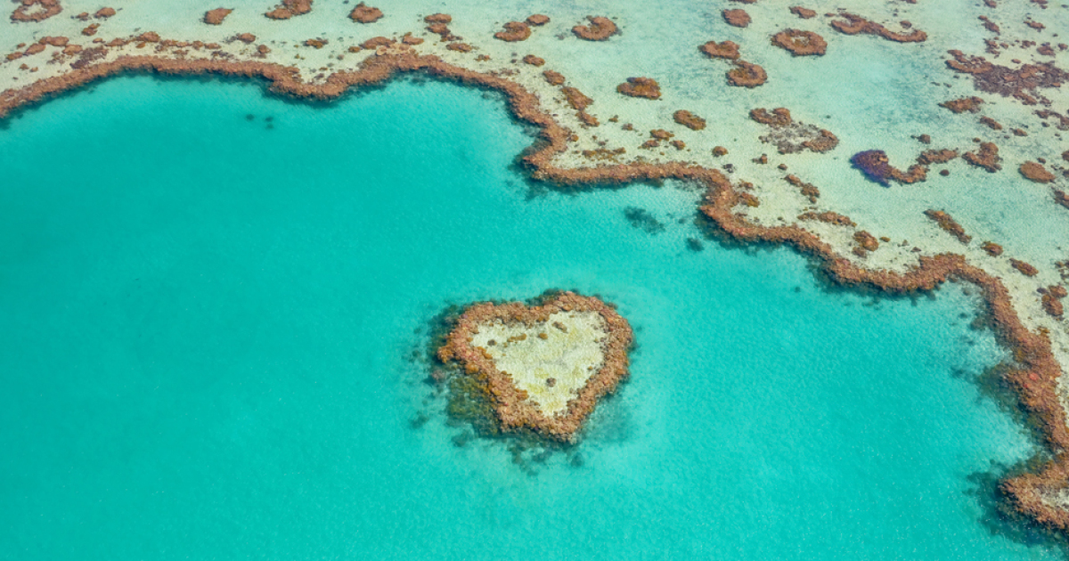 I Captured Breathtaking Sea And Sand Patterns From A Helicopter (Can ...