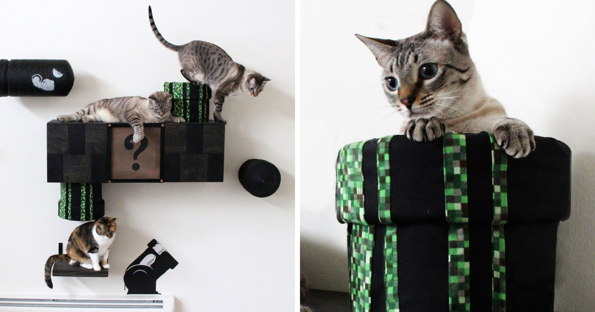 We Turned Our Room Into A Mario Cat World | Bored Panda