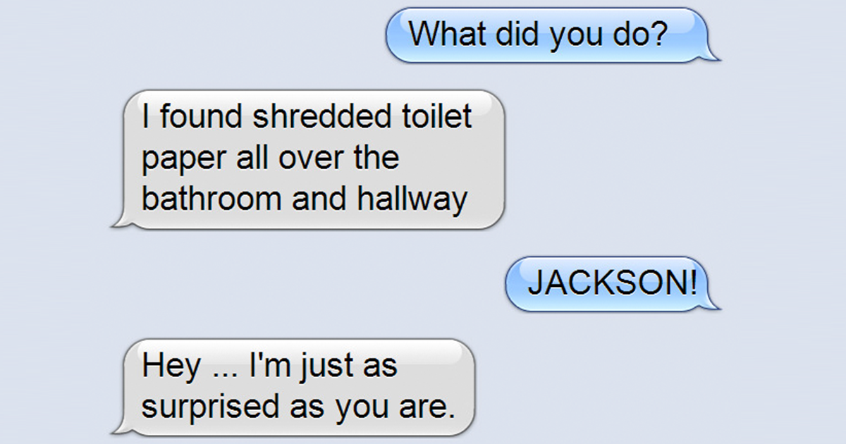 What If Cats Could Text? Woman Shares Conversations With Her 3 Rescued ...