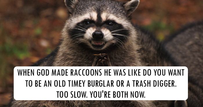 50 Hilarious Explanations How God Created Animals | Bored Panda