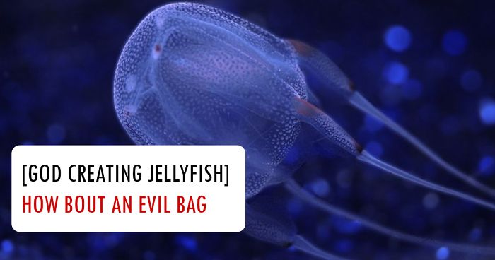 50 Hilarious Explanations How God Created Animals | Bored Panda