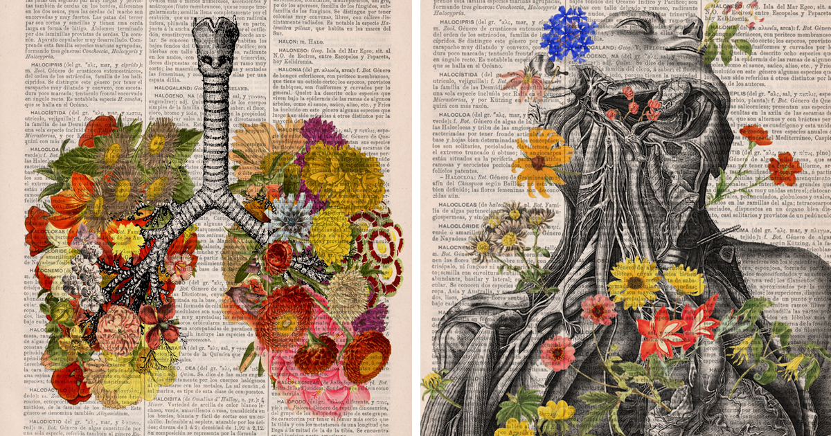 Old Anatomy Diagrams
