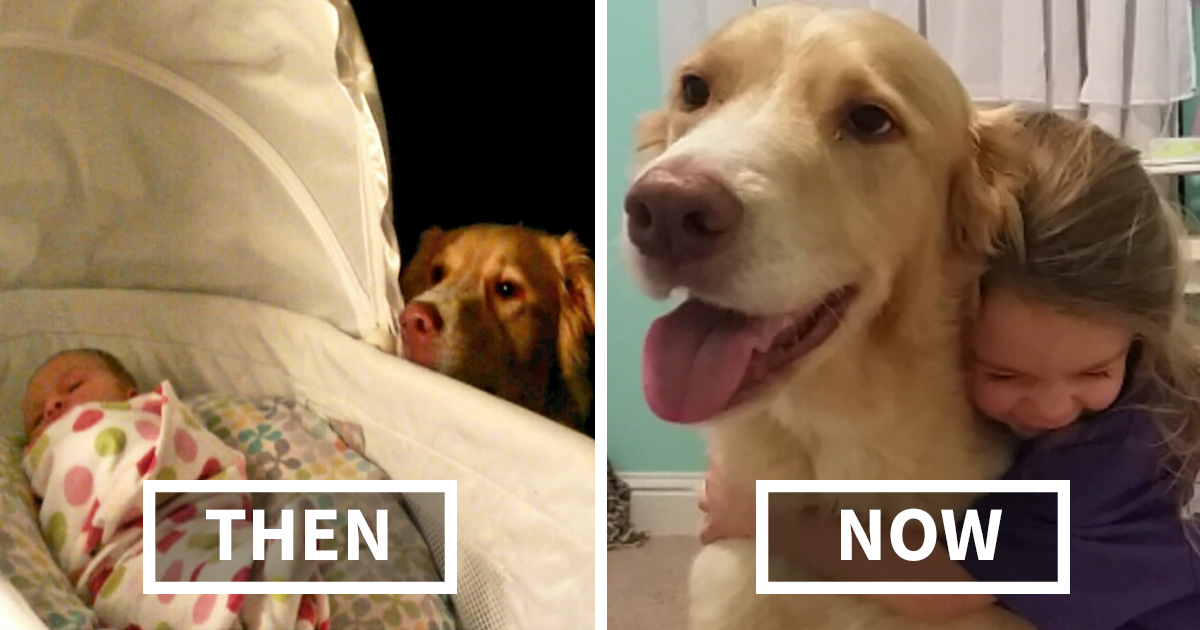 108 Before-And-After Pics Of Dogs And Their Owners Growing Up Together ...