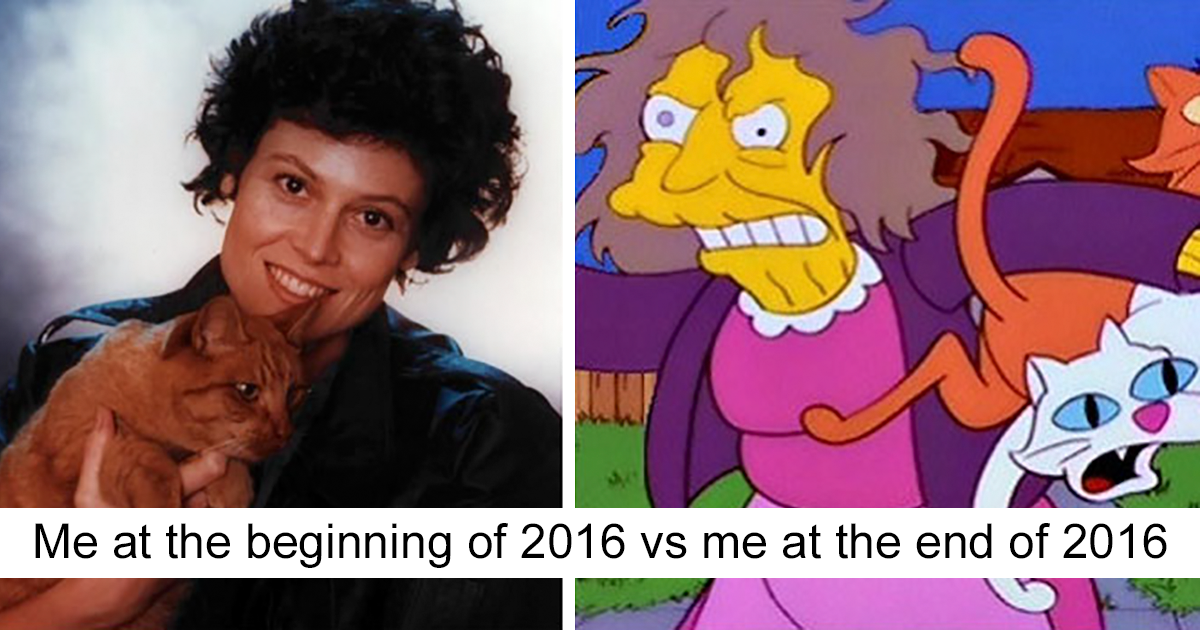 76 Hilarious Before-And-After Transformation Pics Show How 2016 Changed ...