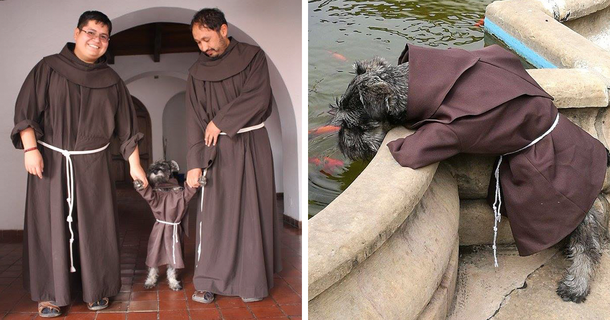 This Monastery Adopted A Stray Dog, Now He Enjoys His Life As A Monk ...