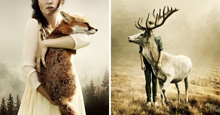 How I Turned Rescued Wild Animals Into Art | Bored Panda