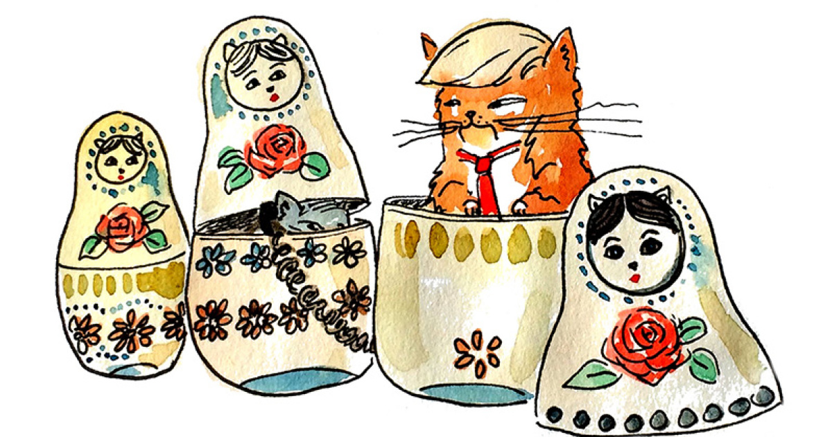 The Adventures Of President Trumpy Cat | Bored Panda