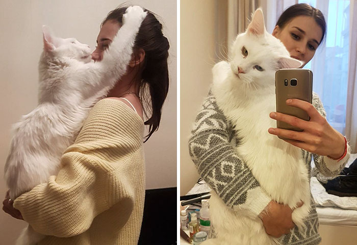 Kitty Grows Up Hugging His Human Every Day, Won’t Stop Even After ...