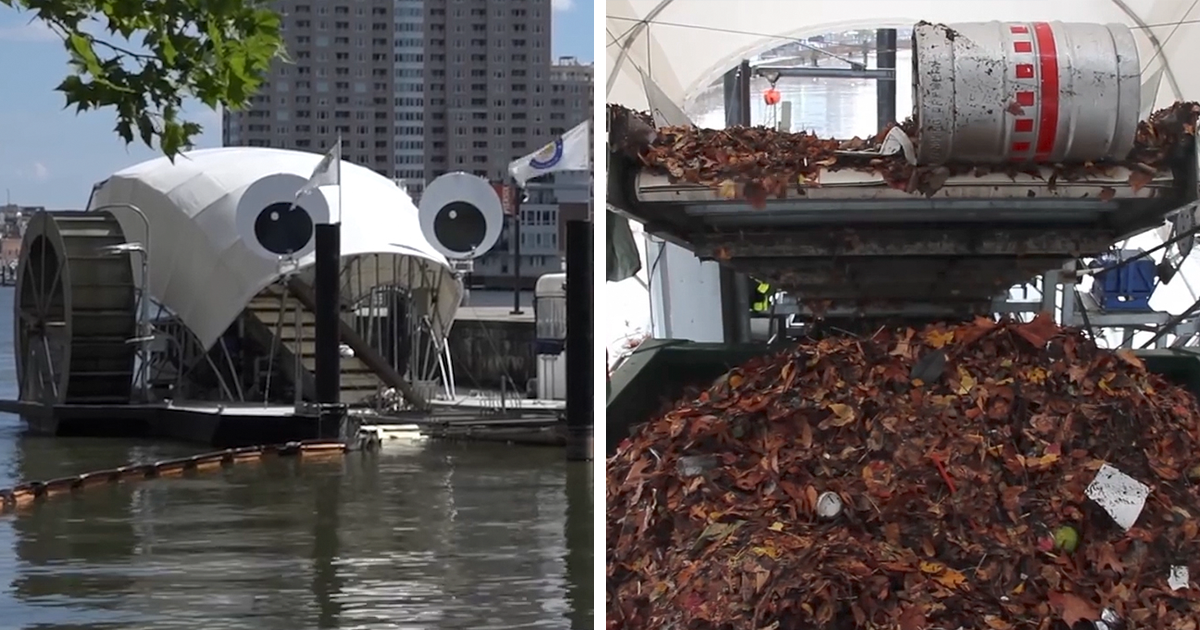 Meet Mr. Trash Wheel Who Eats Trash For Lunch | Bored Panda
