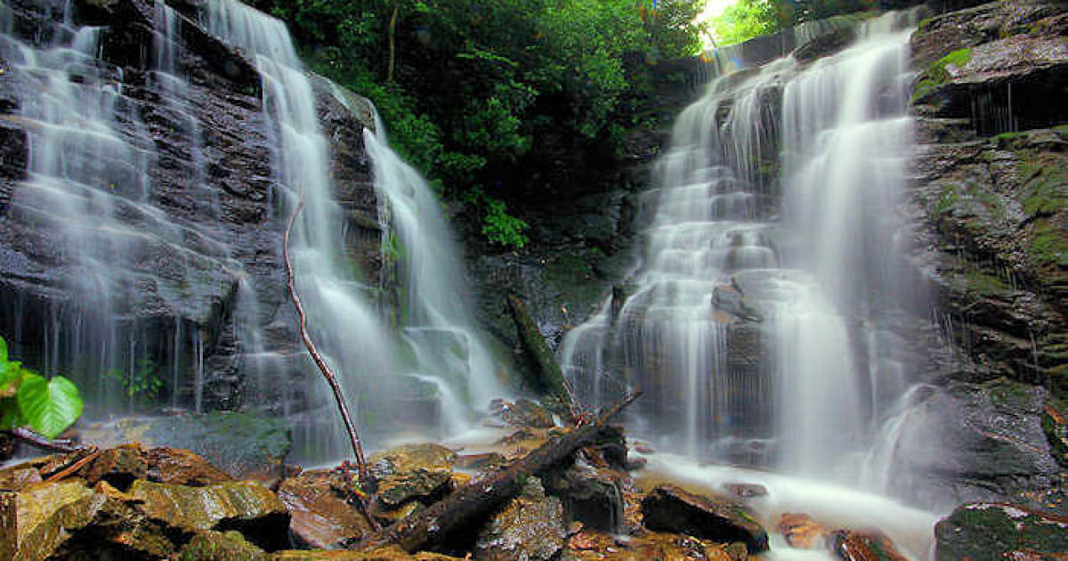 I Captured The Beauty Of Nature Near My Home | Bored Panda