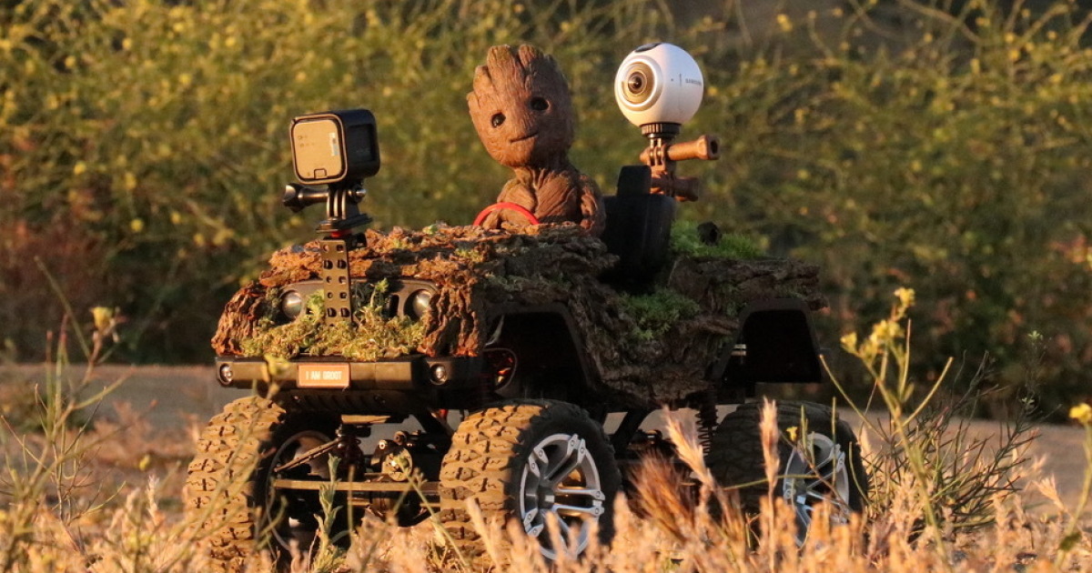 Baby Groot In Los Angeles | Bored Panda