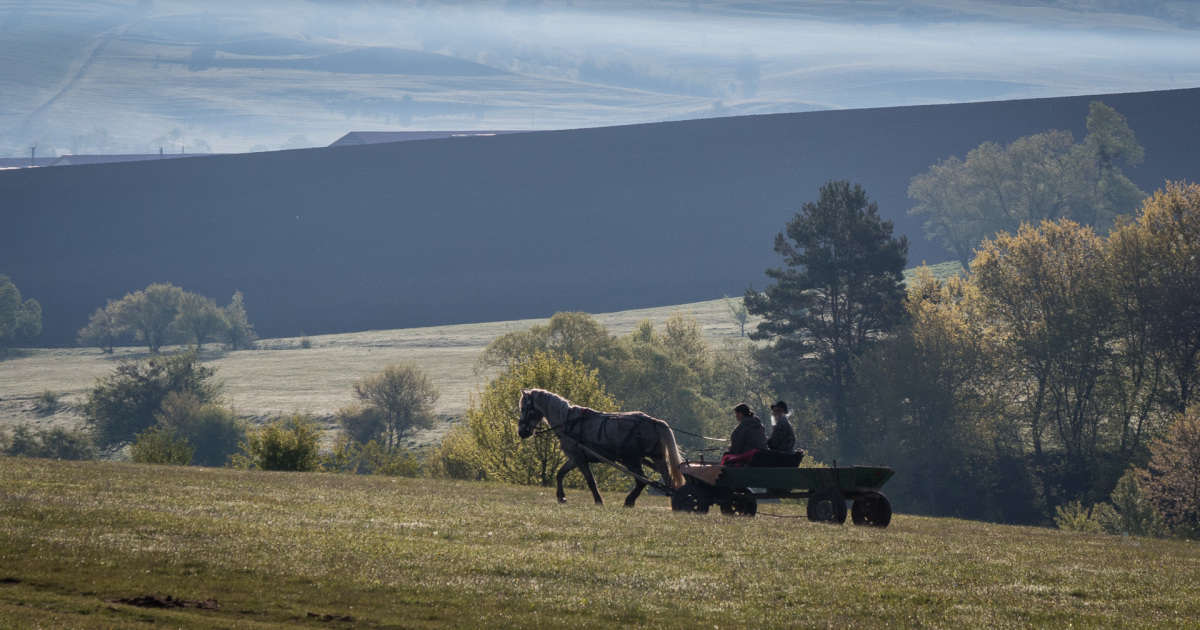 14 Aspects Of Rural Life In Romania That Will Fascinate You | Bored Panda