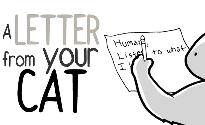 Your Cat Has Written You A Letter, And You Must Read It | Bored Panda