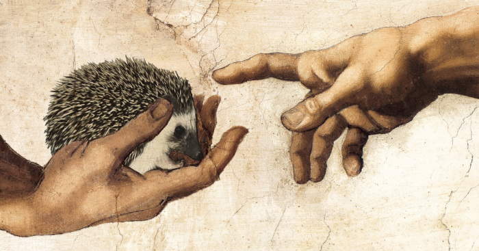 The Amazing World Of Hedgehog Art History | Bored Panda