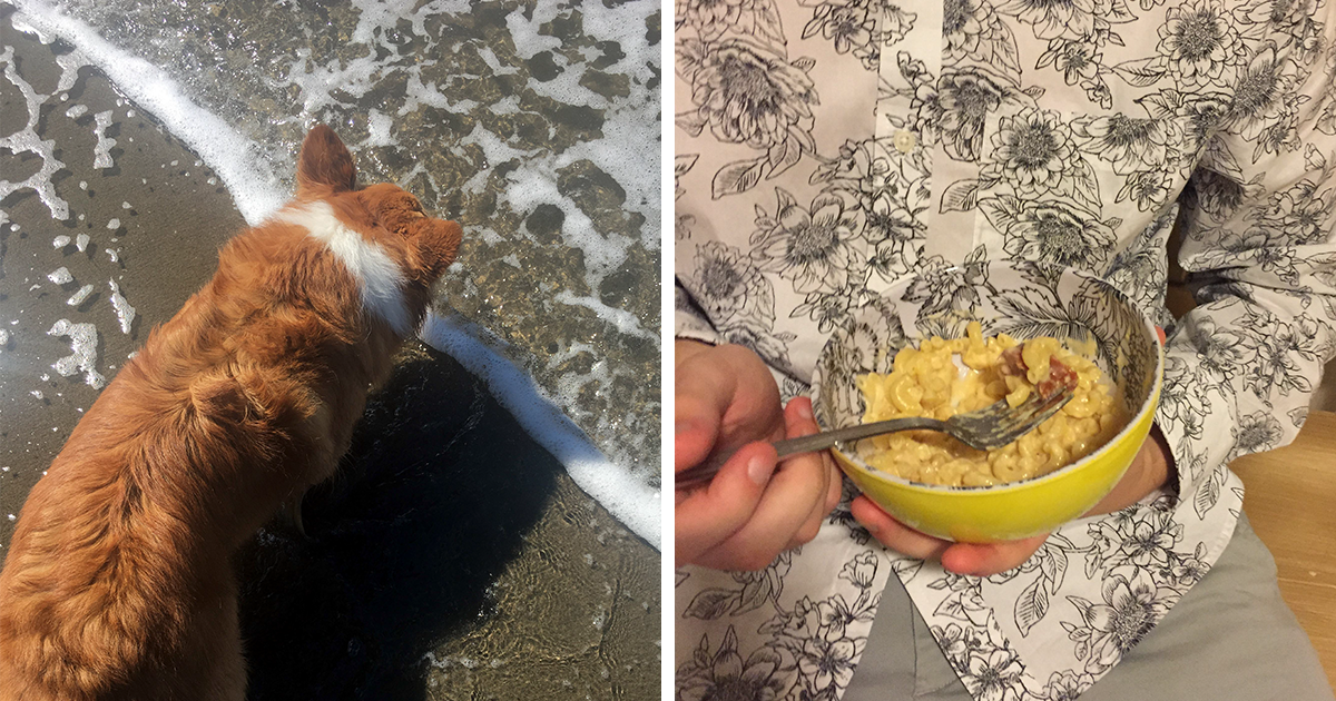 30+ Satisfying Times Things Lined Up Too Perfectly | Bored Panda