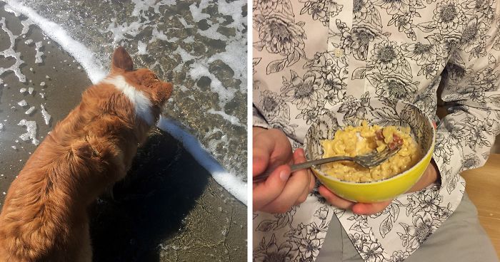 30+ Satisfying Times Things Lined Up Too Perfectly | Bored Panda