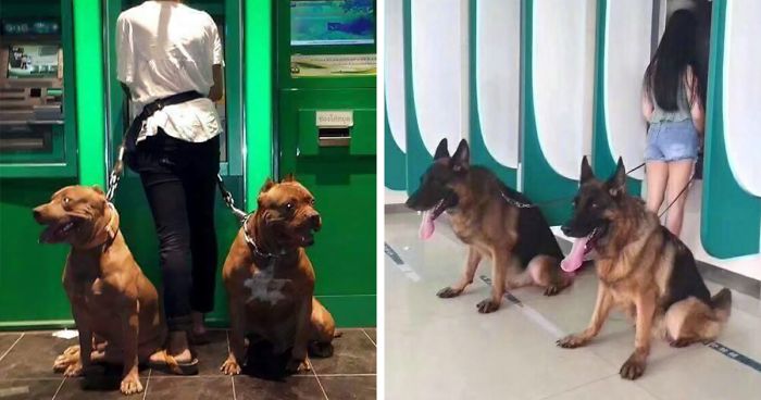 The Best ATM Withdrawal Defense (13 Pics) | Bored Panda