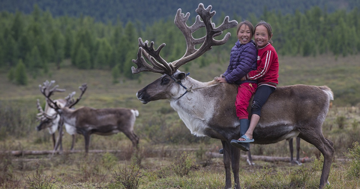 I Took Photos Of Adorable Kids With Their Reindeer In The Remote Taiga ...