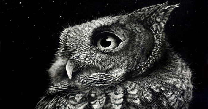 I Create Hyper-Realistic Scratch Drawings On An Ink Coated Board | Bored Panda