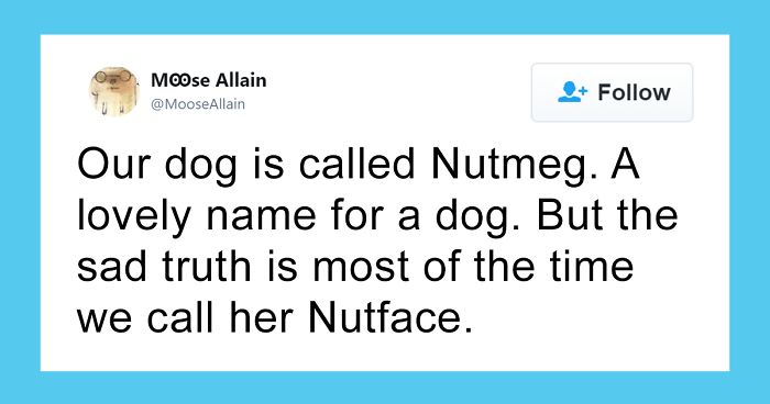 People Are Sharing The Names They Now Call Their Pets Instead Of The ...