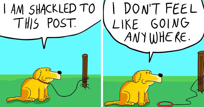 17 Hilariously Pessimistic Comics About Coco The Jolly Dog That Every ...