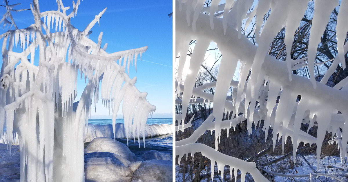 Frozen The Non-Disney Version | Bored Panda