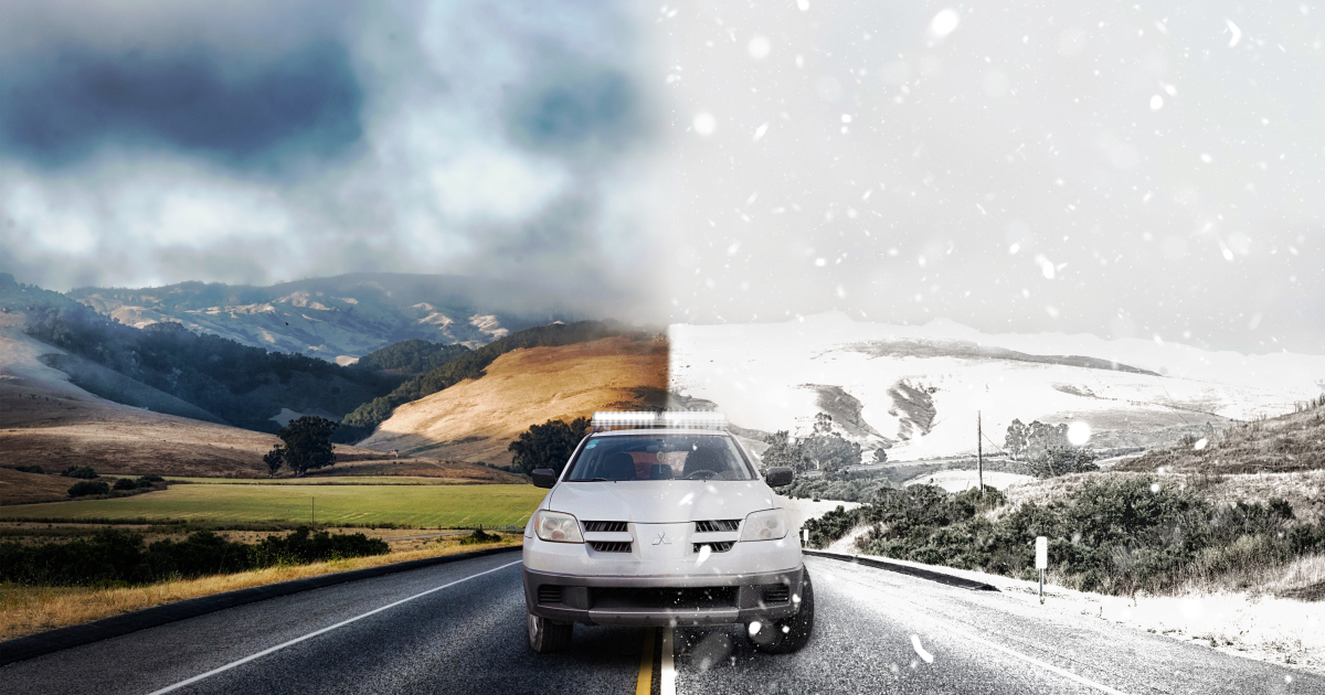 Guy Photographing Random Cars In The Street And Turning Them Completely ...