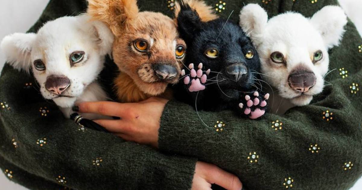 I Create Lifelike Soft Sculpture Of Plush And Fabrics | Bored Panda