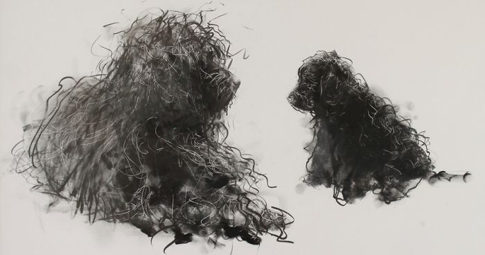 Gloomy Portraits Of Dogs That Seem To Fade Into The Paper | Bored Panda