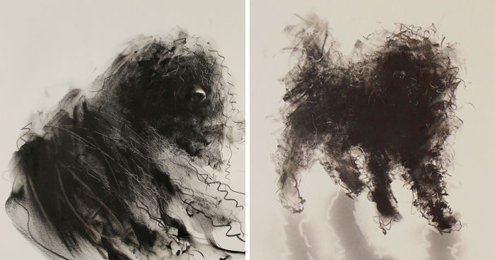 Gloomy Portraits Of Dogs That Seem To Fade Into The Paper | Bored Panda