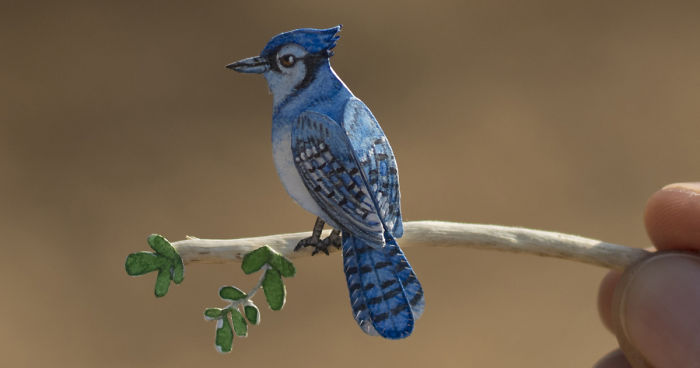 We Create Miniature Birds Out Of Paper Every Day | Bored Panda