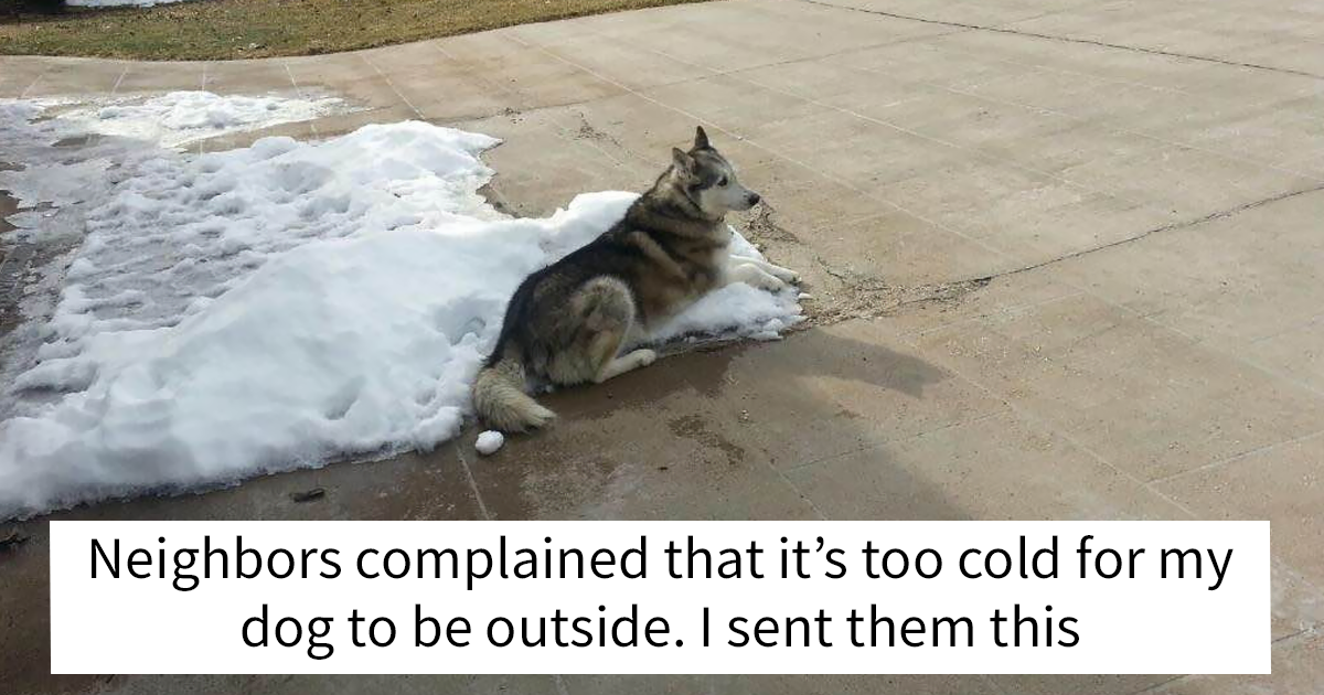 87+ Of The Funniest And Most Passive Aggressive Neighbor Messages Ever ...