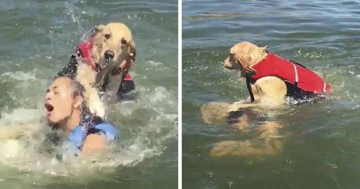 A Nice Day At The Lake Took A Sudden Unexpected Twist, And The Internet ...