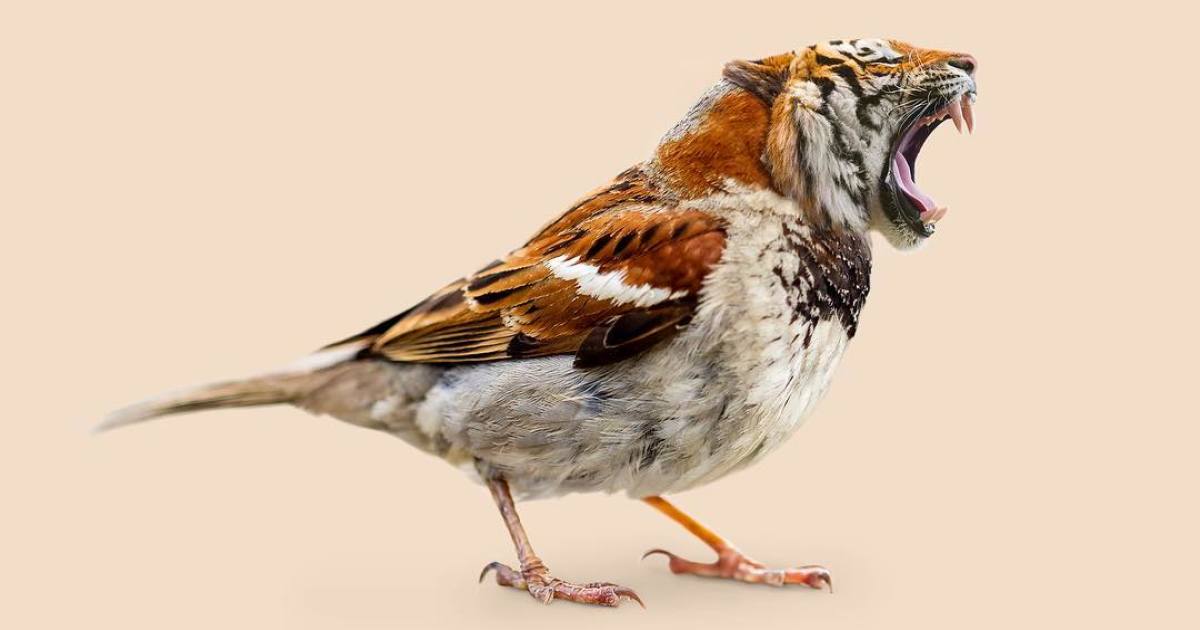 Agency Creates Surreal Manipulations That Will Impress You | Bored Panda