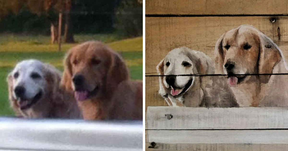 I Hand Paint Pet Portraits On Rustic Reclaimed Barn Wood | Bored Panda