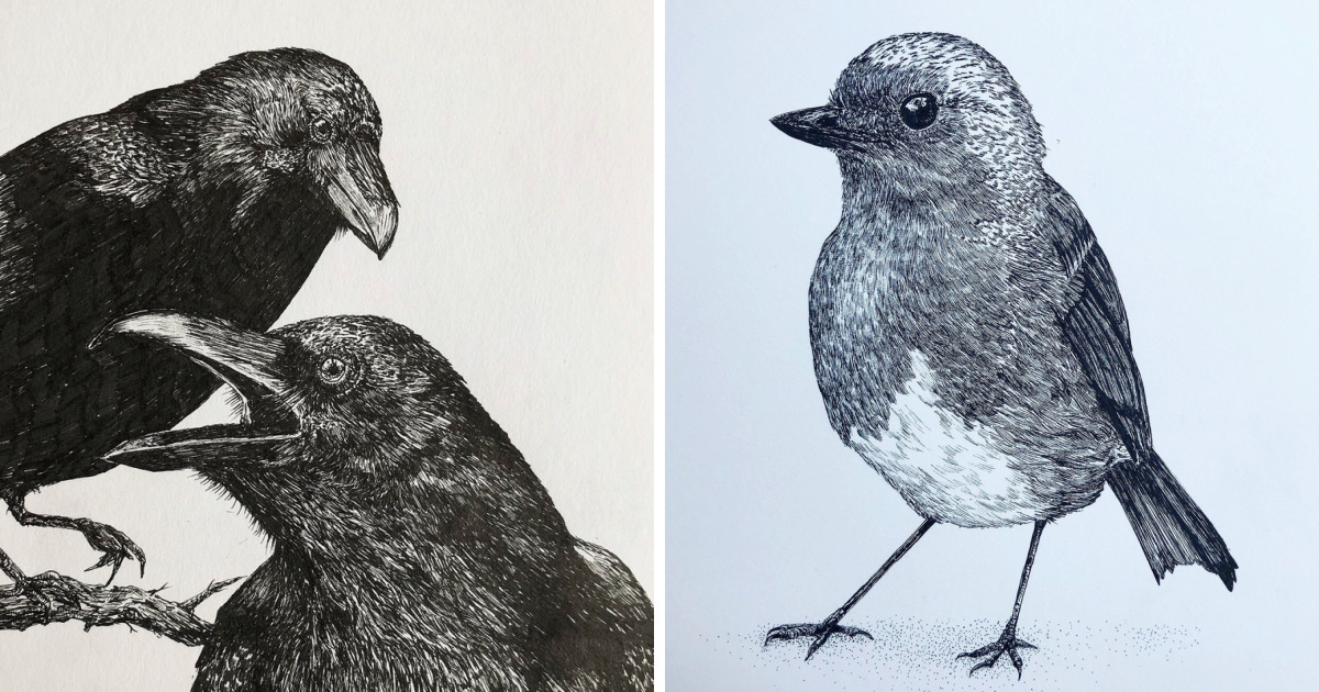 13 Detailed Birds Made With A Single Pen! All Drawn By Bas Geeraets ...