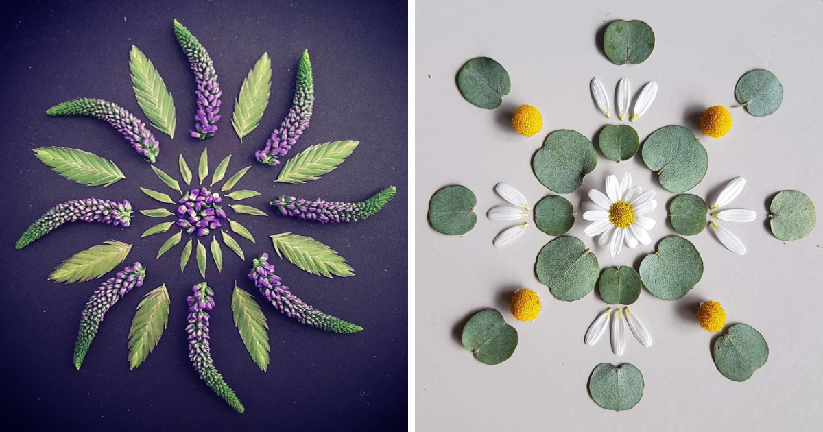 I Create Mandalas From Things I Find In Nature As A Way To Meditate ...